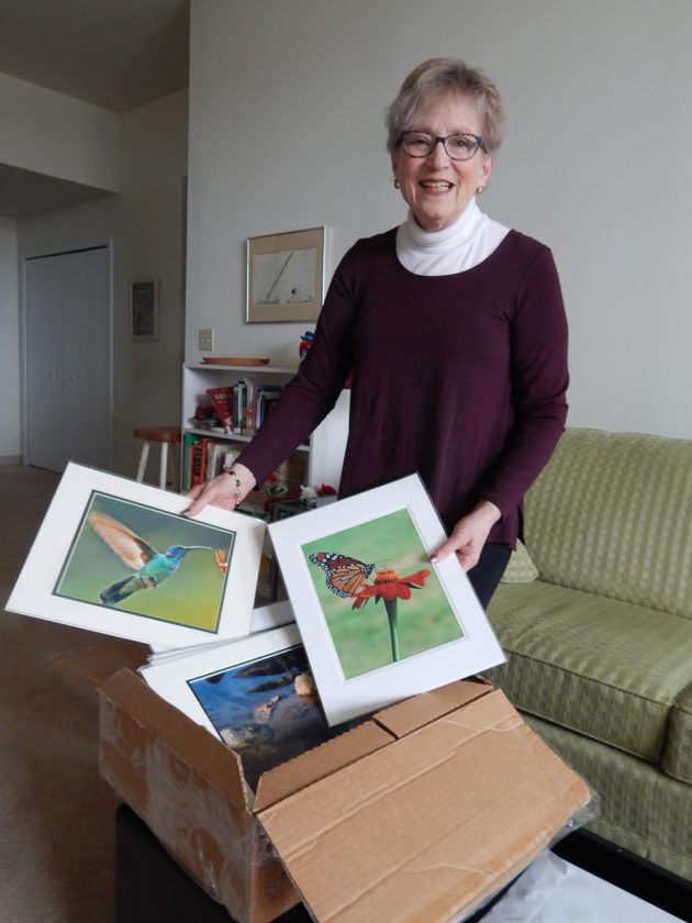 Sonia’s View: Award-winning local artist offers unique perspective ...